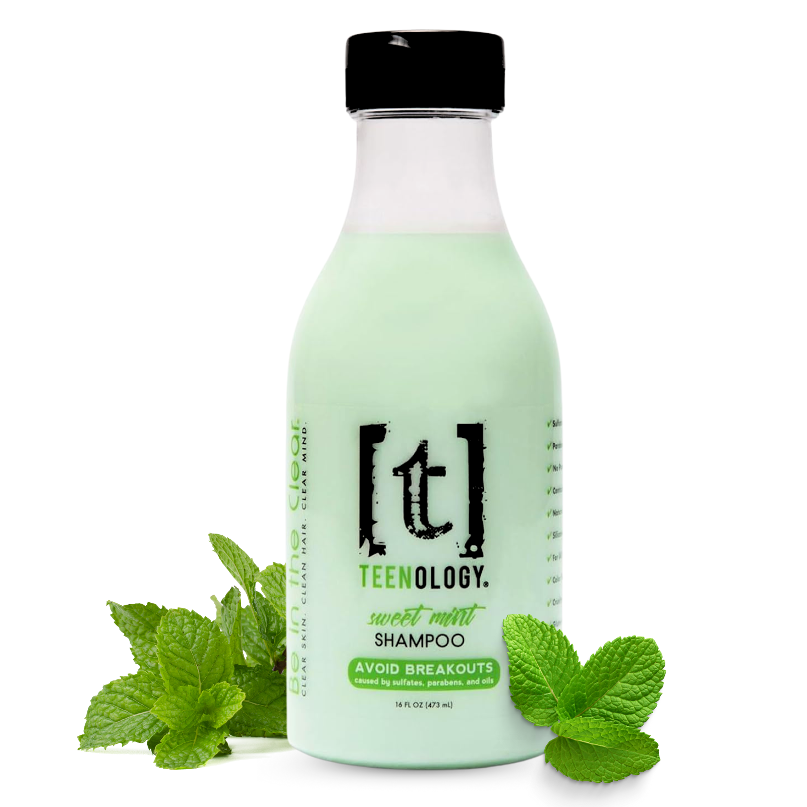 Sweet Mint Shampoo – TEENOLOGY